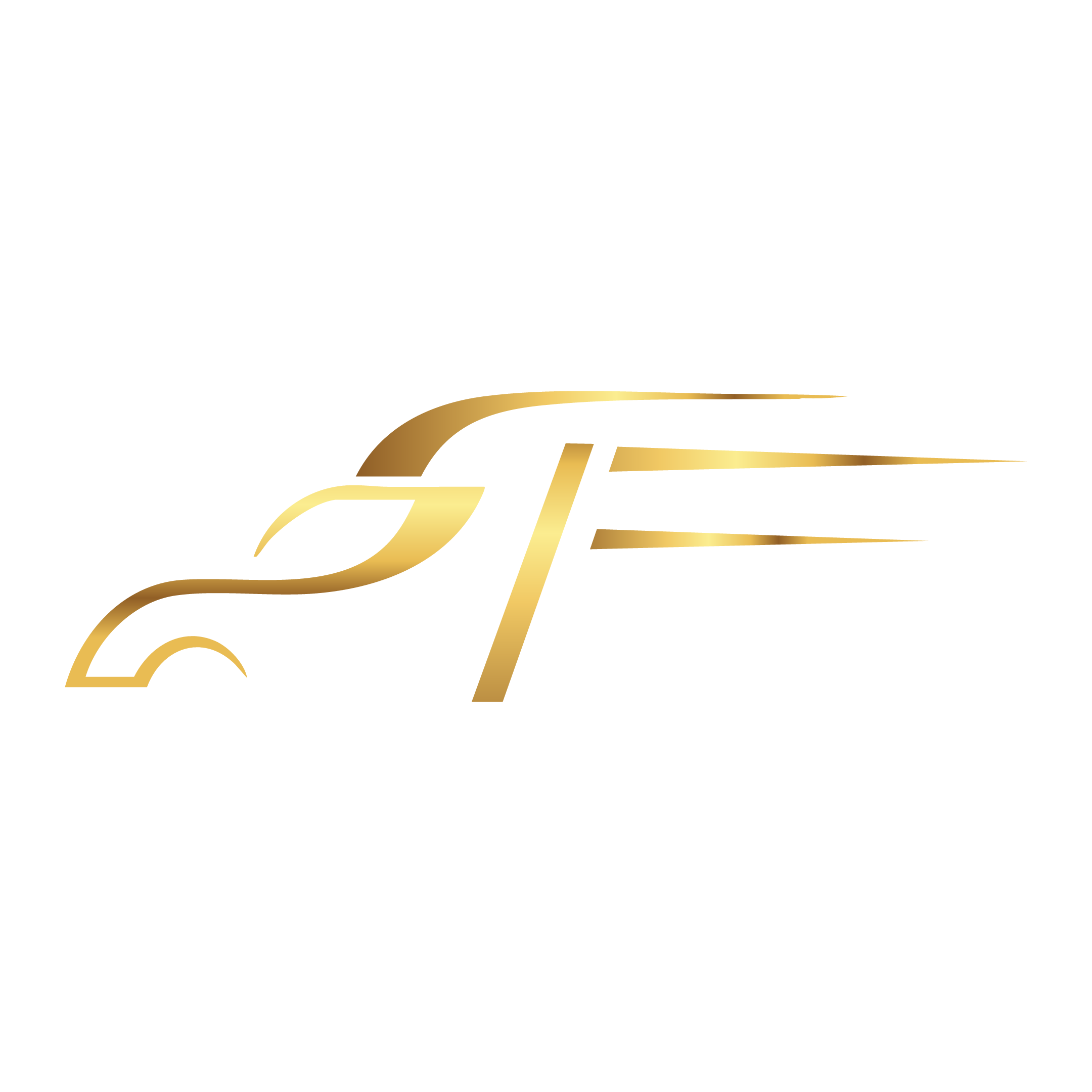 Force Transportation | Trucking & Freight Services | FTL, LTL & Reefer USA